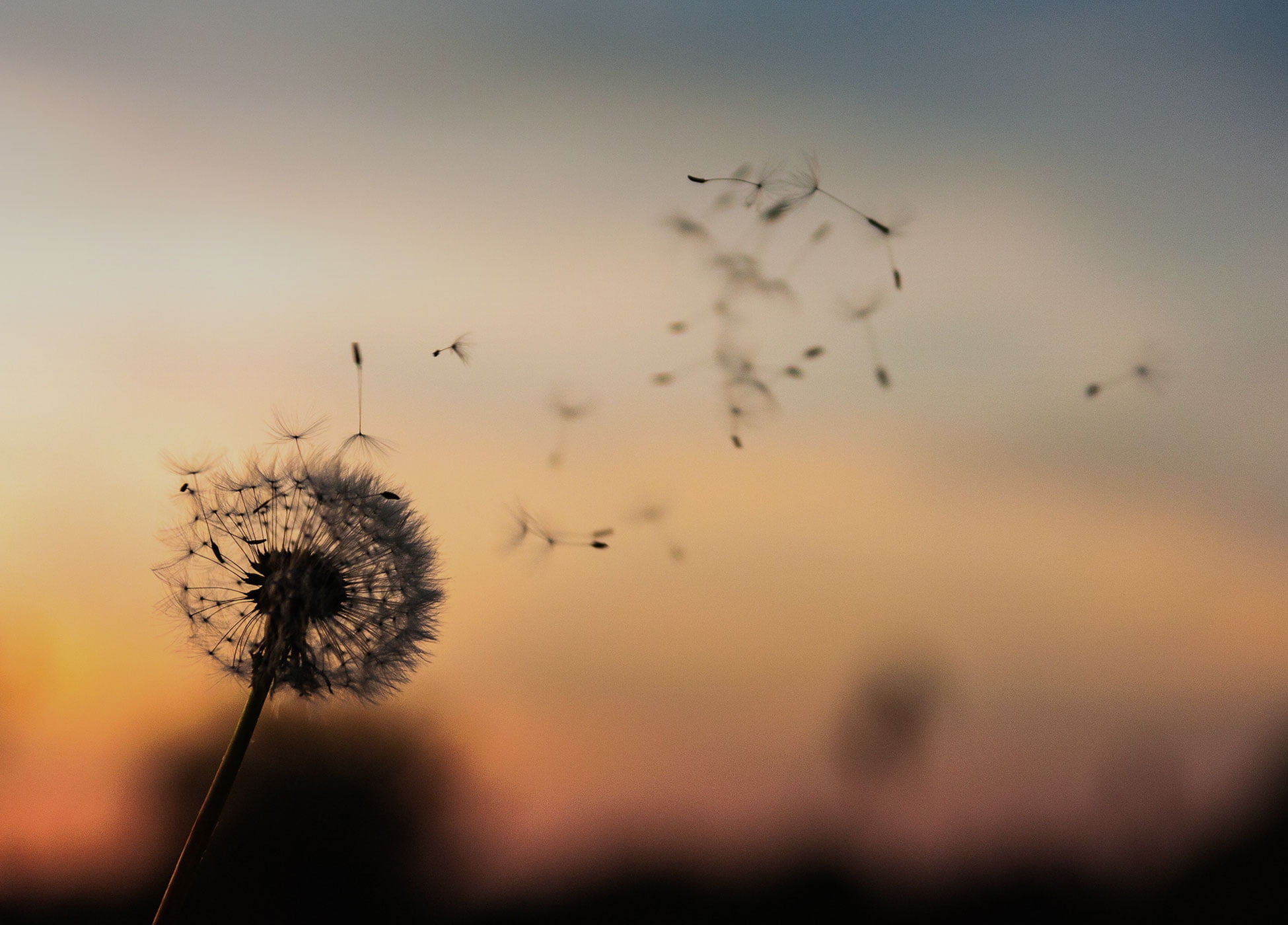 Home - FJN Solutions