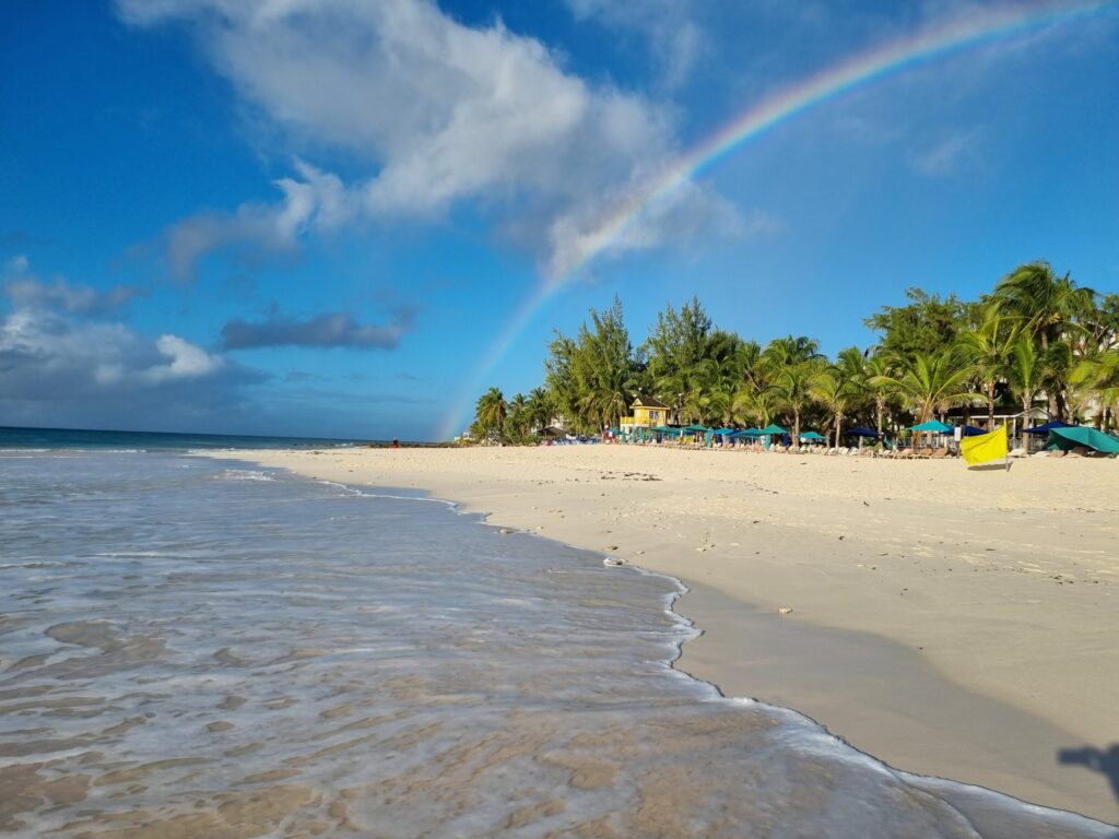 Not so Blue Monday..... - FJN Solutions